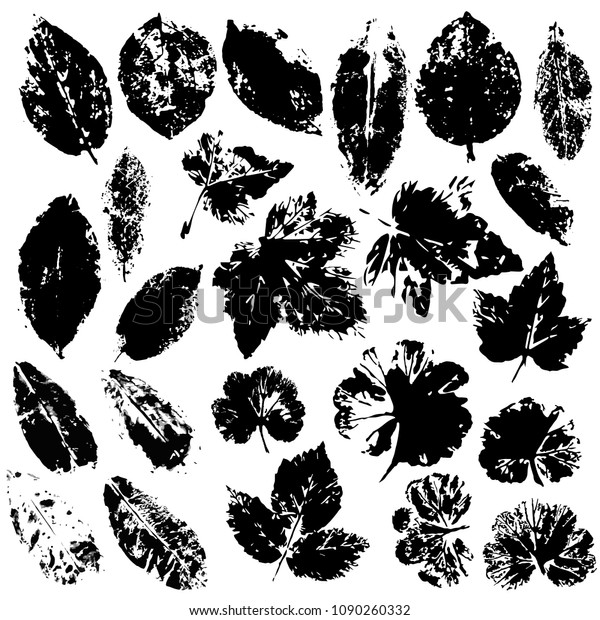 Set Leaf Stamps Black White Vector 스톡 벡터(로열티 프리) 1090260332 | Shutterstock