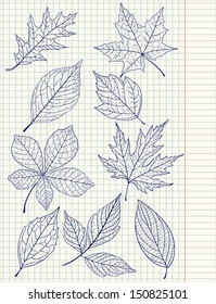 Set Leaves On School Sheet Stock Vector (Royalty Free) 150825101 ...