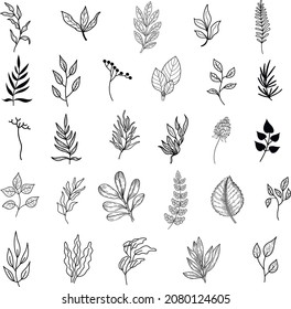 Set Leavesvector Line Art Plants Flowers Stock Vector (Royalty Free ...