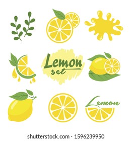 Set Lemon Template Design Collection Lemon Stock Vector (Royalty Free ...