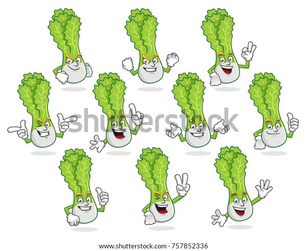 Set Lettuce Character Design Lettuce Mascot Stock Vector (Royalty Free ...