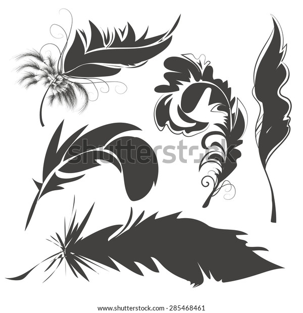 Set Light Airy Monochrome Feathers Swirls Stock Vector (Royalty Free ...