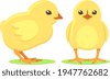 32,139 Chick Face Royalty-Free Images, Stock Photos & Pictures ...