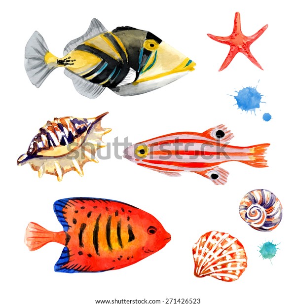 Set Marine Tropical Fish Vector Sea Stock Vector (Royalty Free ...