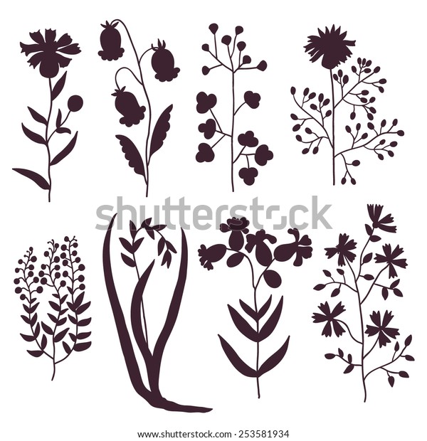 Set Meadow Flowers Vector Illustration Stock Vector (Royalty Free ...