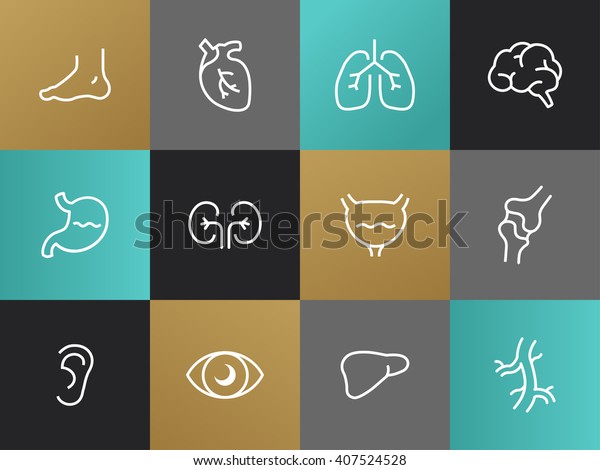 Set Modern Vector Body Parts Plain Stock Vector (Royalty Free) 407524528
