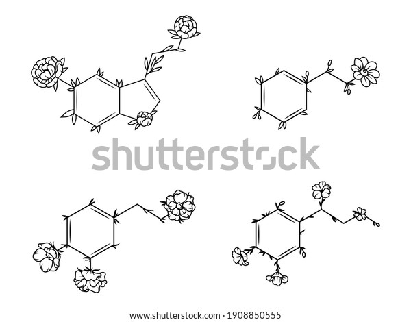 Set Molecular Formula Flowers Collection Happiness Stock Vector ...