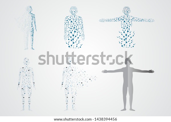 Set Molecule Body Concept Human Dna Stock Vector (Royalty Free) 1438394456