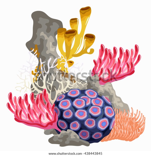 Set Multicolored Coral Polyps Isolated On เวกเตอร์สต็อก (ปลอดค่า ...