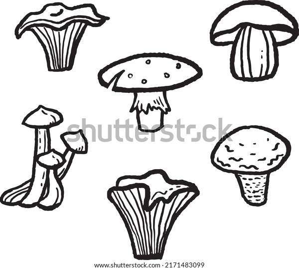 Set Mushroom Outline Vector Illustrations Stock Vector (Royalty Free ...