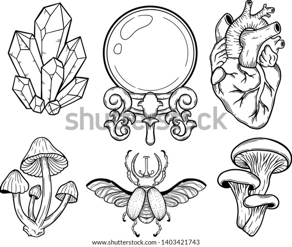 Set Mystical Elements Line Art Vector Stock Vector (Royalty Free ...