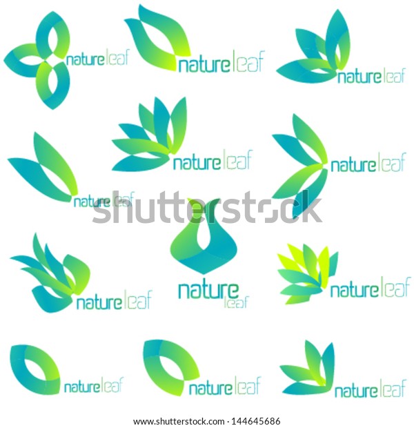 Set Natural Icons Leaf Shapes Logo Stock Vector (Royalty Free) 144645686
