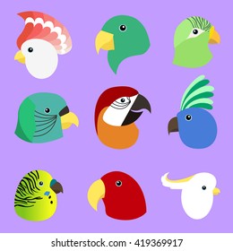 Set Nine Stylized Different Parrot Heads Stock Vector (Royalty Free ...