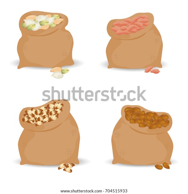Set Nuts Bags On White Background Stock Vector (Royalty Free) 704515933 ...