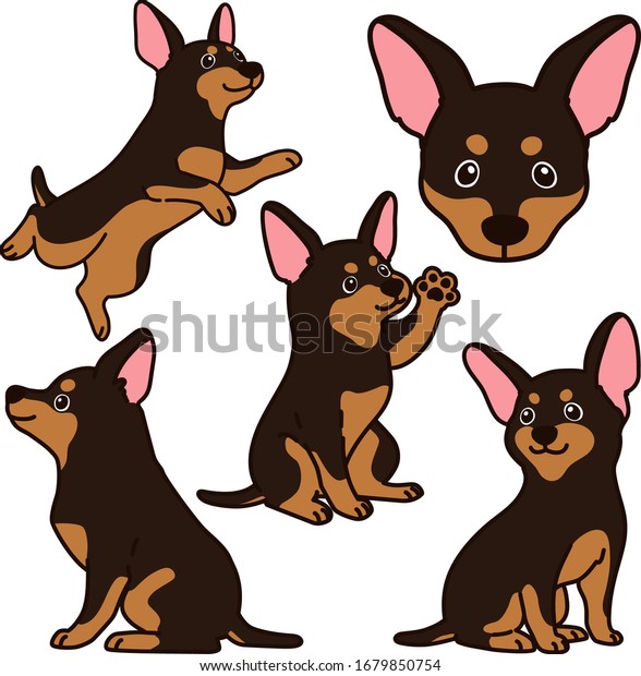 Set Outlined Miniature Pinscher Illustrations Stock Vector (Royalty ...