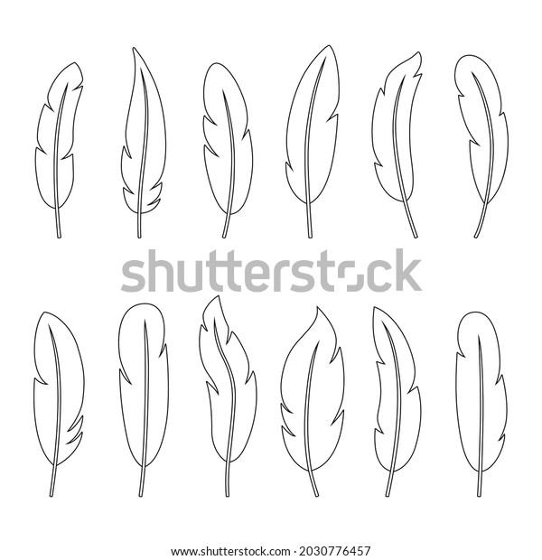 Set Outlines Feathers Vector Illustration Stock Vector (Royalty Free ...