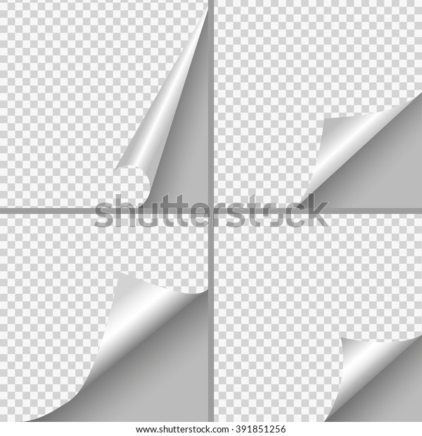 Set Pages Curl Shadow On Blank Stock Vector (Royalty Free) 391851256 ...