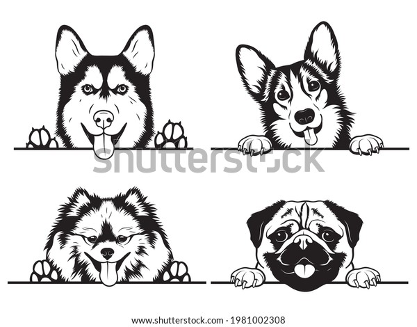 Set Peeking Dogs Corner Collection Different Stock Vector (Royalty Free ...