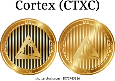 Set Physical Golden Coin Cortex Ctxc Stock Vector (Royalty Free ...