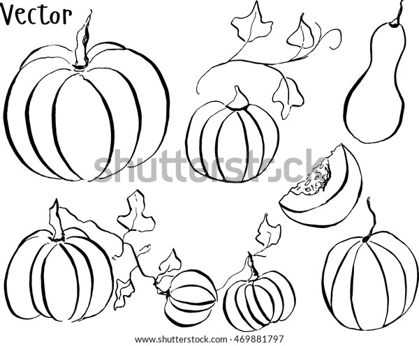 Set Pumpkin Hand Drawing Ink Vegetable Stock Vector (Royalty Free ...