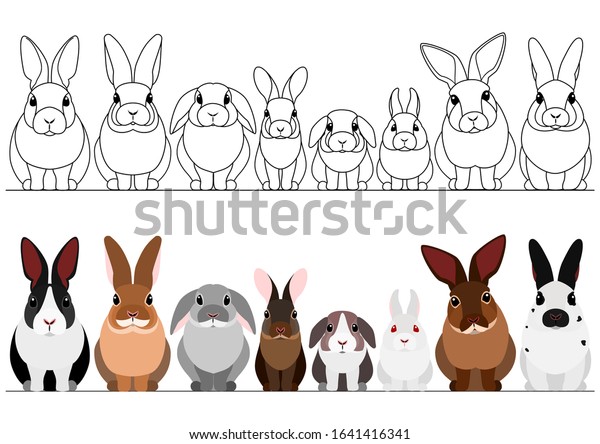 Set Rabbits Border Color Line Art 스톡 벡터(로열티 프리) 1641416341