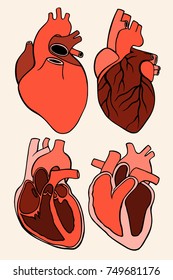 Set Real Heart Vector Illustration Image Stock Vector (Royalty Free ...