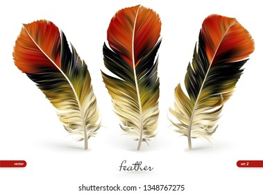 1,017 Translucent feather Images, Stock Photos & Vectors | Shutterstock