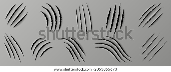 Set Realistic Scratch Claws Wild Animal Stock Vector (Royalty Free ...