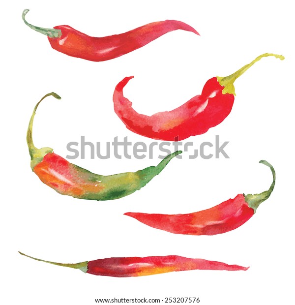 Set Red Chili Pepper Drawing By Stock Vector (Royalty Free) 253207576 ...