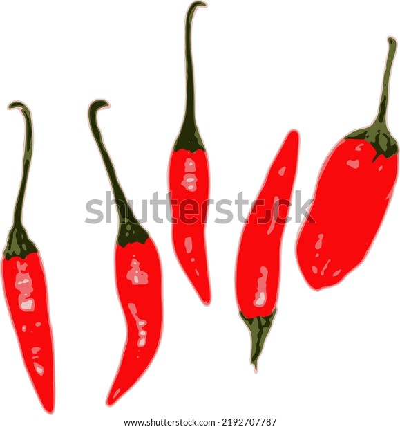 Set Red Chili Peppers Vector Art Stock Vector (Royalty Free) 2192707787 ...