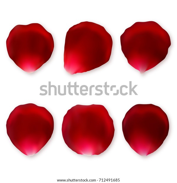 Set Red Rose Petals Shadow On Stock Vector (Royalty Free) 712491685 ...