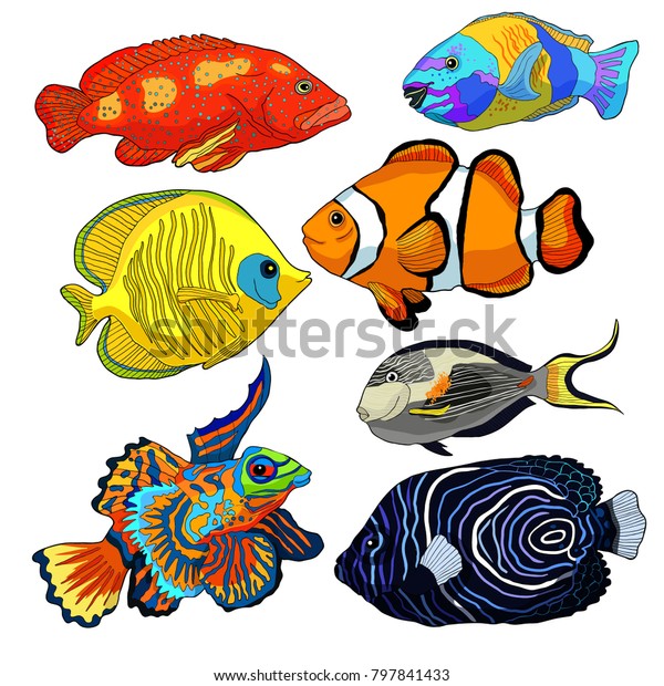 Set Red Sea Fish Arabian Surgeon Stock Vector (Royalty Free) 797841433 ...