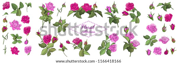 Set Roses Leaves Isolated On White Stock Vector (Royalty Free ...