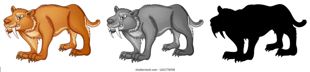 Set Sabertooth Tiger Illustration Stock Vector (Royalty Free ...