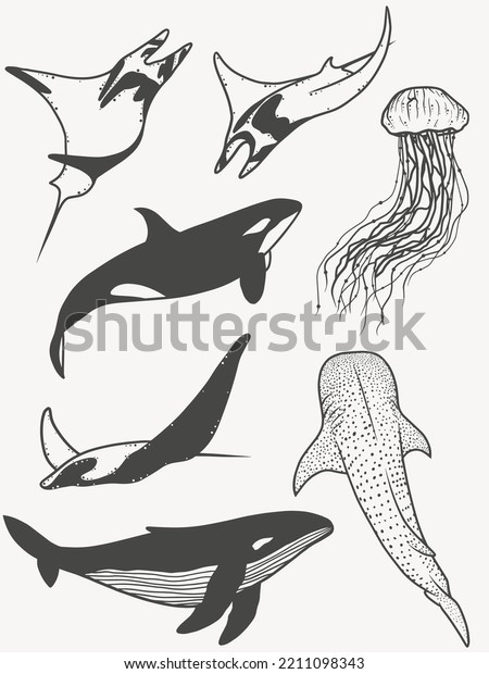 Set Sea Creatures Line Art Stock Vector (Royalty Free) 2211098343 ...