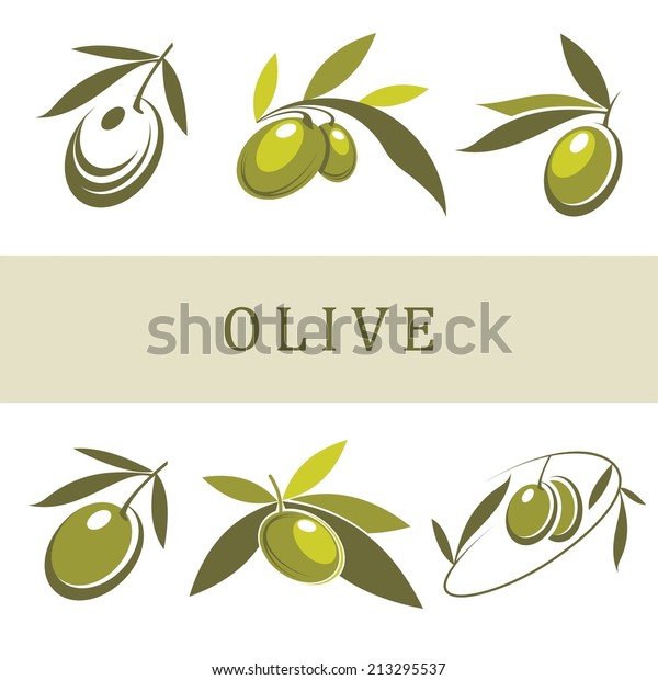 Set Signs Symbols Olive Stock Vector (Royalty Free) 213295537 ...
