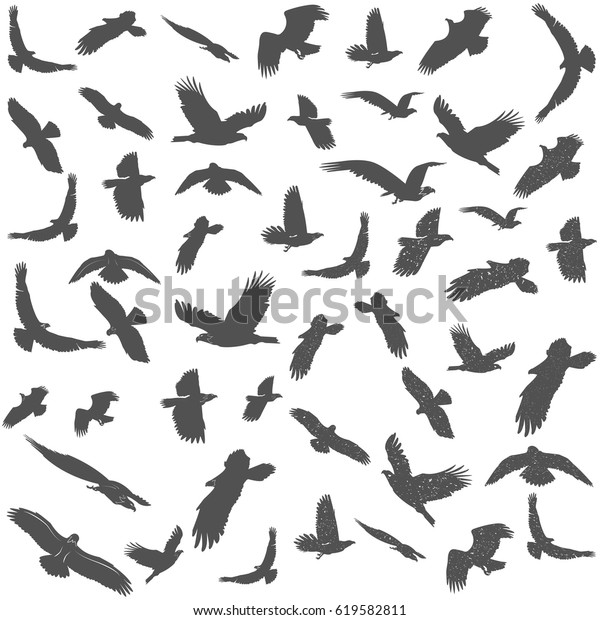 Set Silhouettes Flying Birds Texture Isolated Stock Vector (Royalty ...