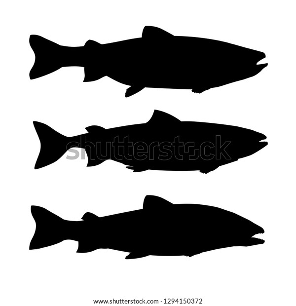 Set Silhouettes Salmon Fish Side View Stock Vector (Royalty Free ...