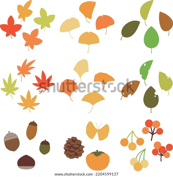 Set Simple Cute Autumn Illustrations Stock Vector (Royalty Free ...