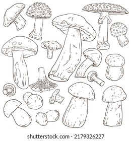 Set Simple Line Mushrooms Flat Vector Stock Vector (Royalty Free ...