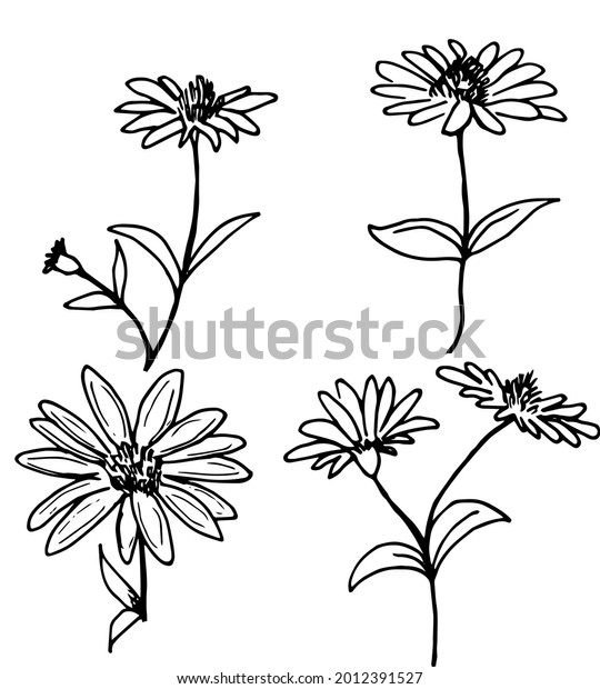Set Simple Summer Flowers Drawings Abstract Stock Vector (Royalty Free ...