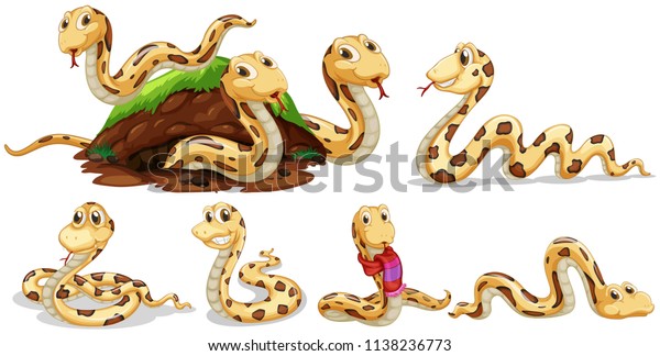 Set Snake On White Background Illustration Stock Vector (Royalty Free ...