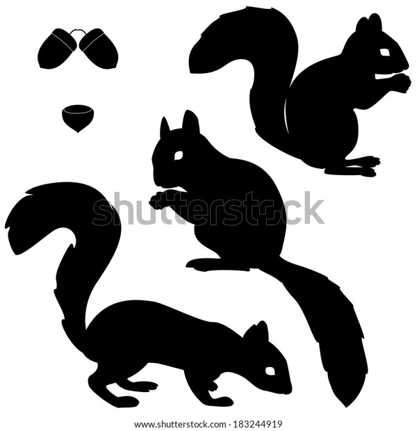 Set Squirrels Silhouettes Isolated On White Stock Vector Royalty Free