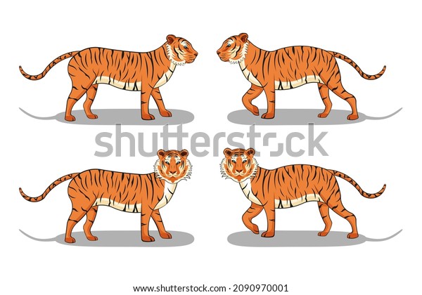 Set Standing Tiger Drawing Cartoon Vector Stock Vector (Royalty Free ...