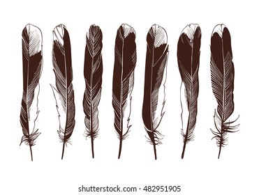 Set Straight Feathers Silhouettes Isolated On Stock Vector (Royalty ...
