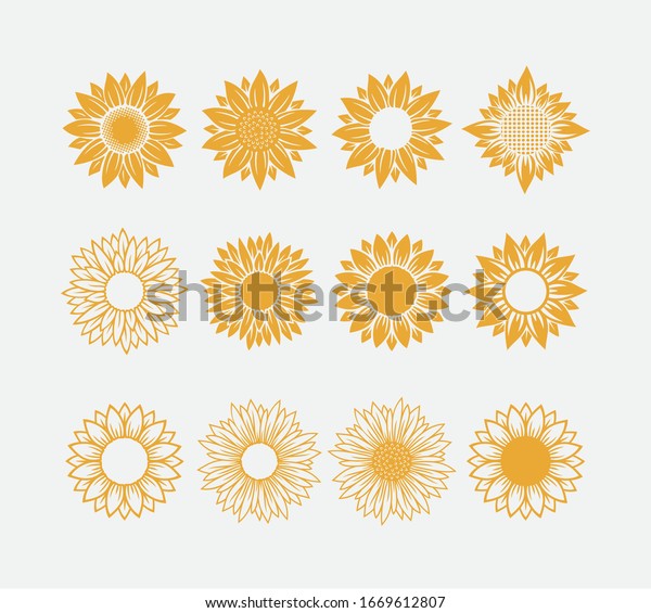 Set Sun Symbol Sunflower Vector Logo Stock Vector (Royalty Free ...