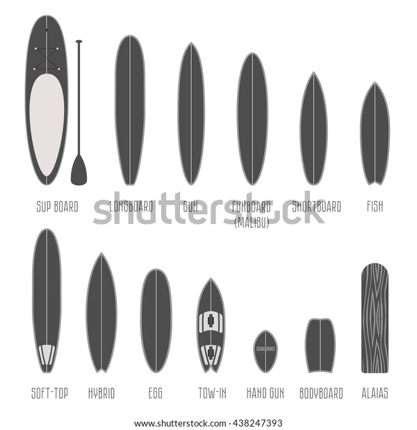 Set Surfboard Types Volume Shapes Scale Stock Vector (Royalty Free ...
