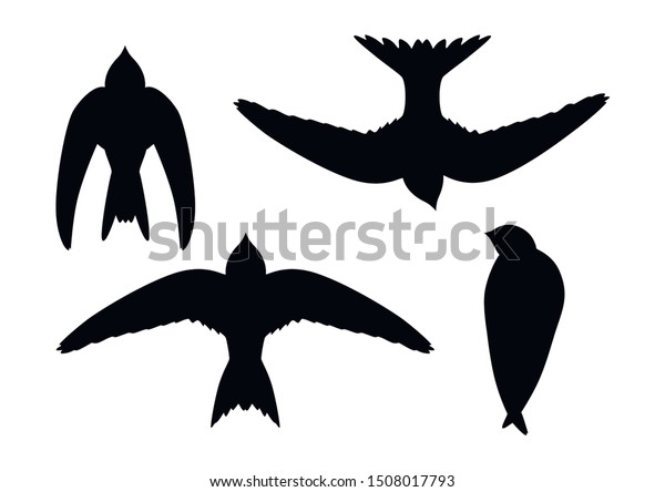 Set Swift Silhouette Black White Silhouette : image vectorielle de ...