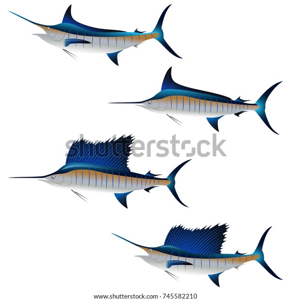 Set Swordfish Isolated On White Background Stock Vector (Royalty Free ...