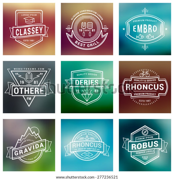 Set Thin Line Labels Logotypes Badges Stock Vector (Royalty Free ...